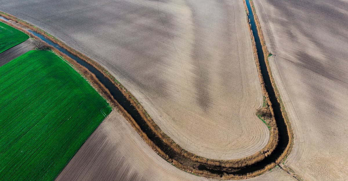 Bahçe Peyzaj Tasarımı Çubuk